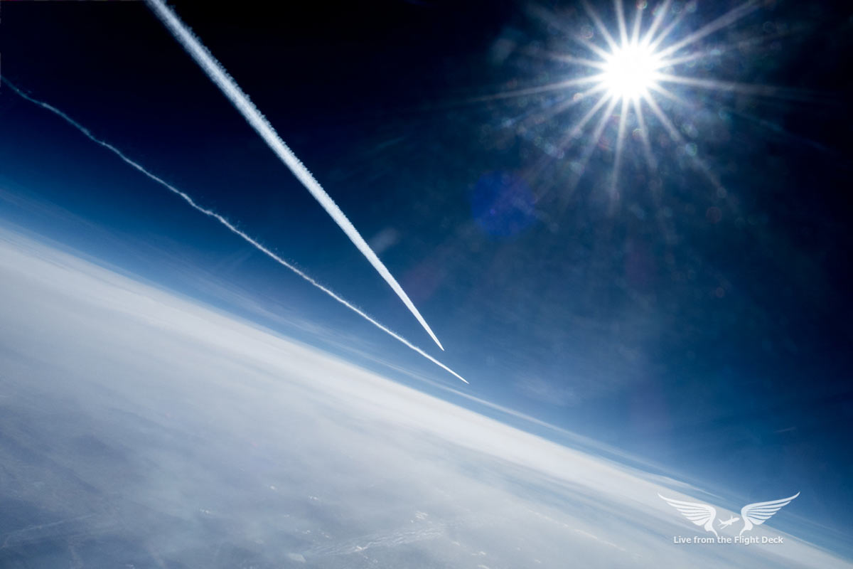 Quiz: 6 Questions To See How Much You Know About Coffin Corner | Boldmethod