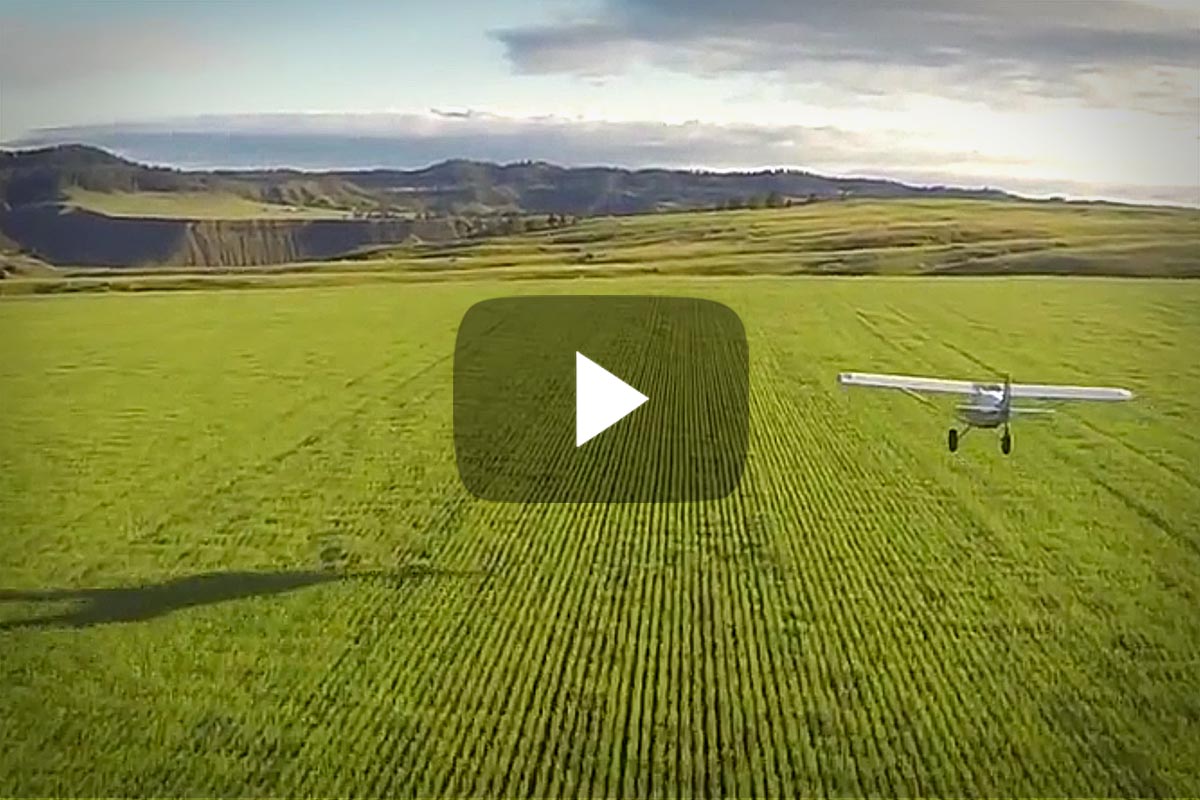 This Is What Flying Is All About | Boldmethod