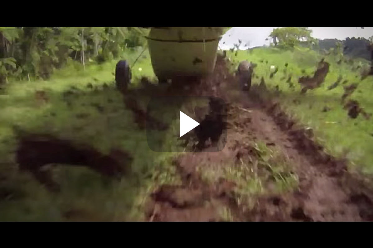 Cessna Lands On High-Altitude Muddy Grass Runway | Boldmethod